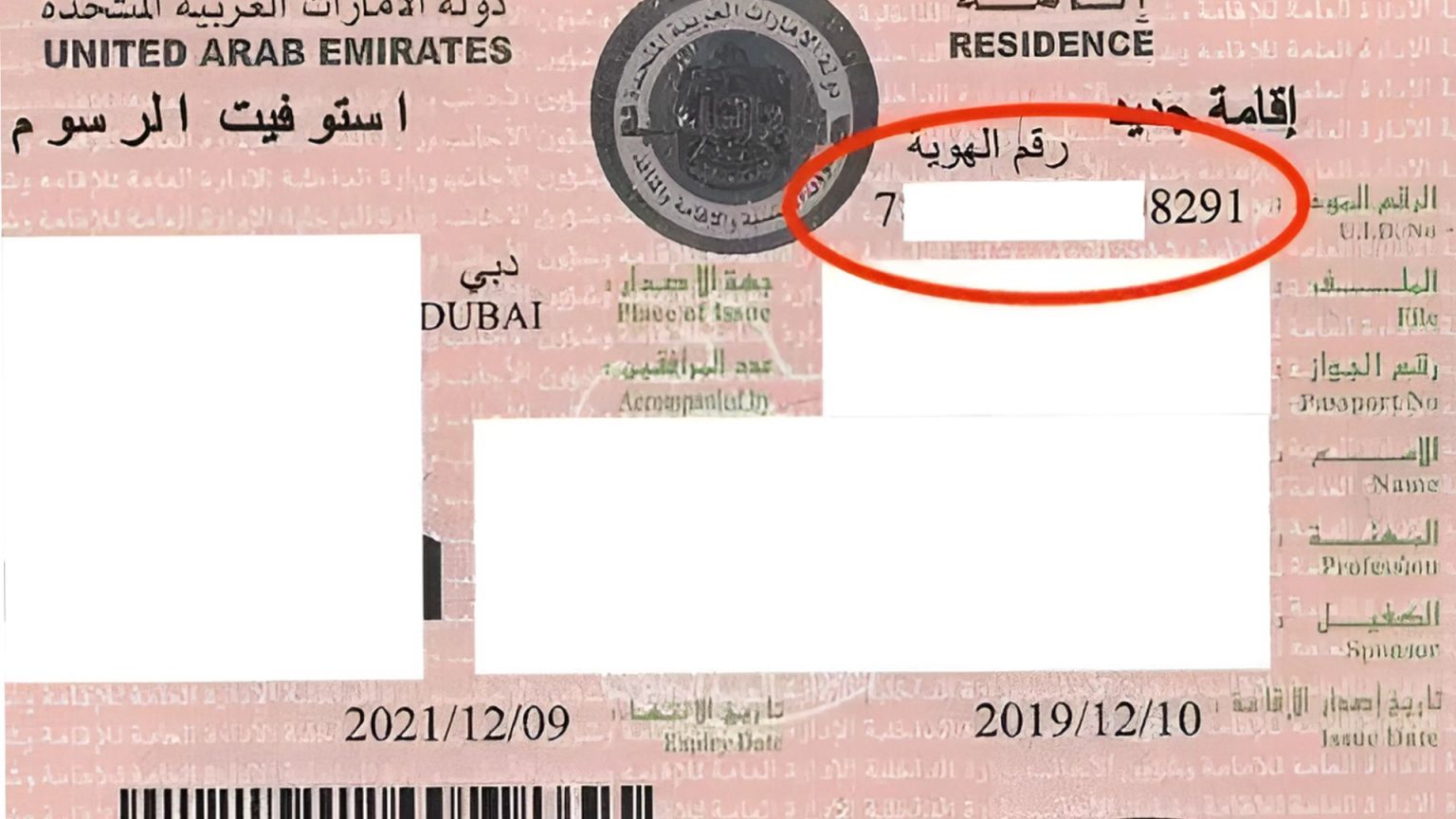 Your Unified Number UAE 2025: How to Find Unified Number